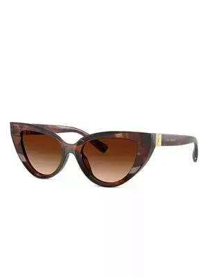 Dolce & Gabbana Cat-eye Acetate Sunglasses