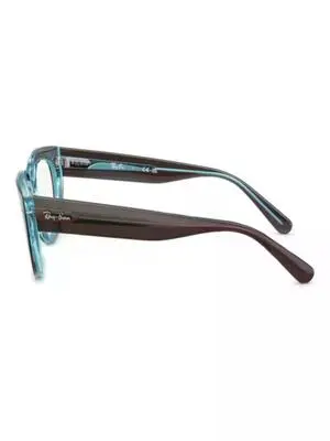 Ray-ban Cat-eye Glasses