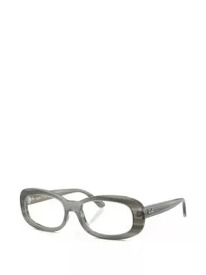Ray-ban Oval-frame Glasses