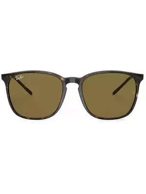 Ray-ban Rb4387f Sunglasses - Brown