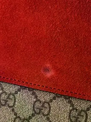 Gucci Dionysus Bag Gg Coated Canvas Small Shoulder Bag
