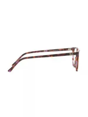 Ray-ban Elliot Glasses