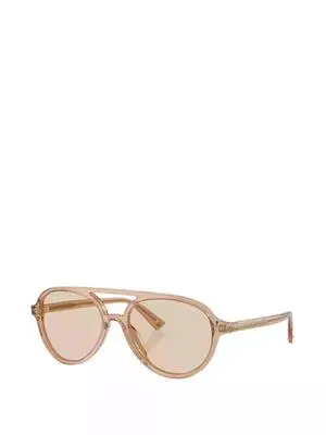 JIMMY CHOO Vira Browline-frame Sunglasses - Neutrals