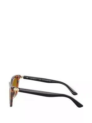 Emporio Armani Striped Cat-eye Sunglasses