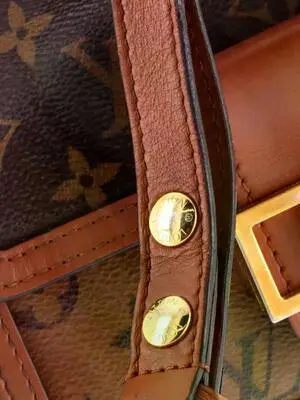 LOUIS VUITTON Dauphine Shoulder Bag Reverse Monogram Canvas Mini Crossbody Bag
