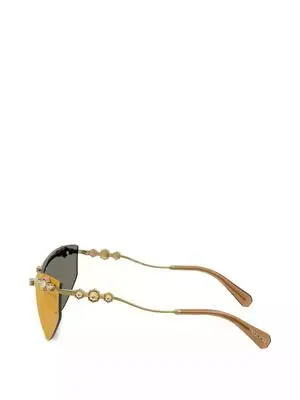 SWAROVSKI Crystal-embellished Sunglasses