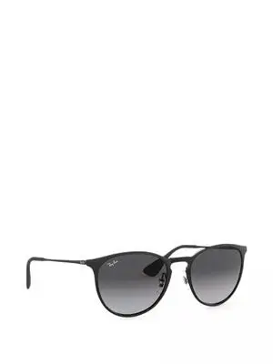 Ray-ban Erika Round-frame Sunglasses