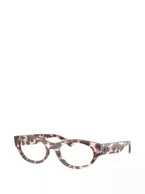 Ray-ban Havana Oval-frame Glasses