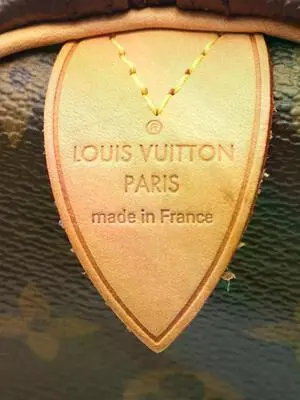 LOUIS VUITTON 2009 Monogram Speedy 30 Boston Bag