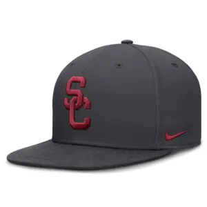 Nike Usc Pro Dri-fit College Fitted Hat - Grey