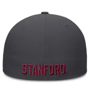 Nike Stanford Pro Dri-fit College Fitted Hat