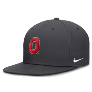 Nike Ohio State Pro Dri-fit College Fitted Hat - Grey