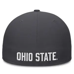 Nike Ohio State Pro Dri-fit College Fitted Hat