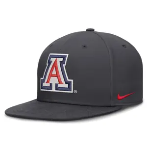 Nike Arizona Pro Dri-fit College Fitted Hat - Grey