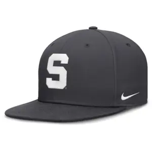 Nike Michigan State Pro Dri-fit College Fitted Hat - Grey