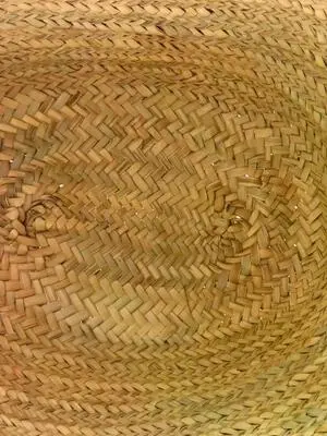 Celine Triomphe Raffia Shoulder Bag
