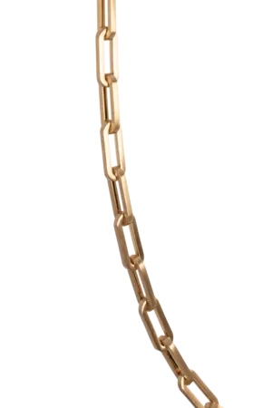 Cult Gaia Bag Chain
