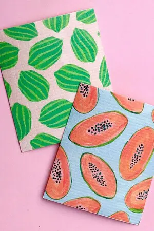 SUPRA ENDURA Swedish Dishcloth In Fruit Print 2 Pack