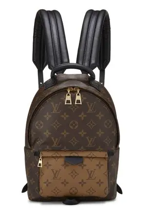 LOUIS VUITTON Monogram Reversed Canvas Palm Springs - Brown