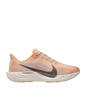 Nike Nike Pegasus Sneakers No