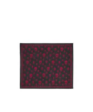 Alexander McQueen Skull-print Scarf - Black/red