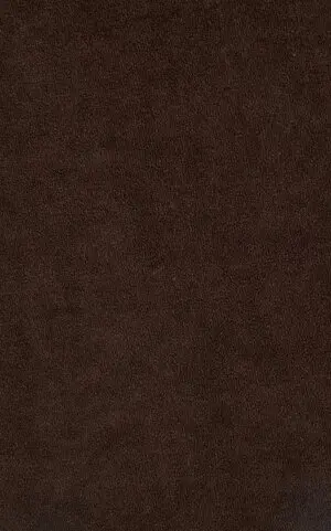 Suzie Kondi Corfu Velour Top - Brown