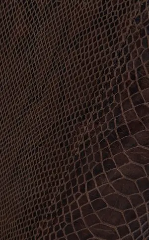Paris Georgia Python-embossed Leather Straight-leg Pants