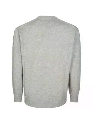 AMARANTO Crew Neck Knitted Sweater
