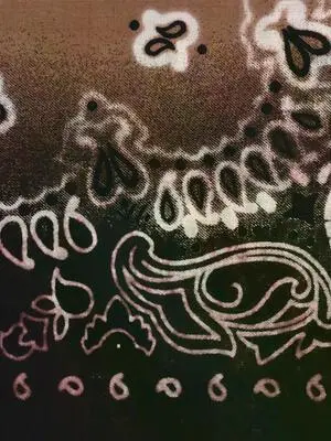 Destin Paisley-print Scarf - Brown