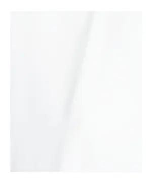 DONDUP Oversized Crepe De Chine Shirt