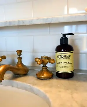 C.O. BIGELOW Lavender Peppermint Hand Wash