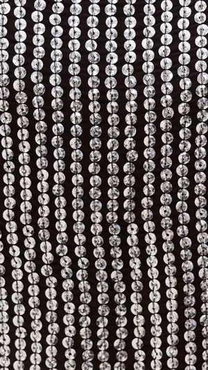 Rag & Bone Lili Sequined Tank