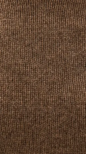 Joe's Jeans The Jane Roll Neck Sweater