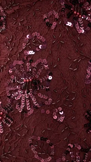 LoveShackFancy Ciona Sequin Lace Gown - Bordeaux