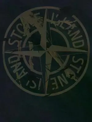 Stone Island Logo-print T-shirt