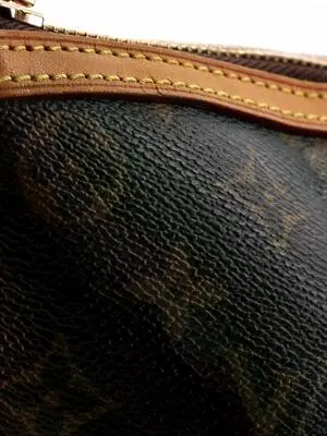 LOUIS VUITTON Palermo Handbag Monogram Canvas Pm Tote Bag