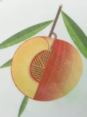 Hermès Kaorumi Nectarine Plate