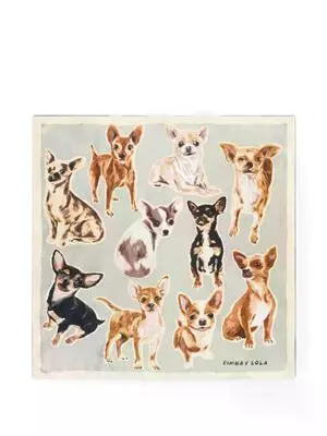 Bimba Y Lola Chihuahuas Scarf - Grey