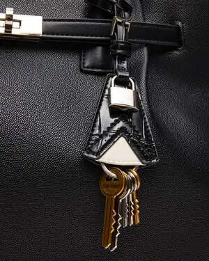Steve Madden Kacey Bag