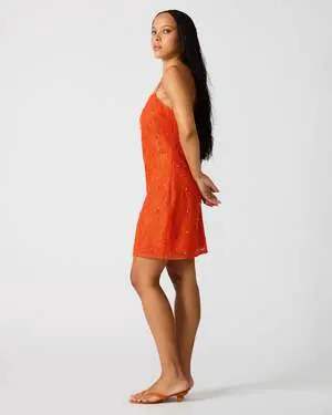 Steve Madden Maureene Dress Sleeveless Mesh Dresses