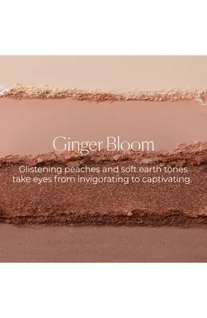 Laura Mercier Caviar Eyeshadow Quad - Ginger Bloom