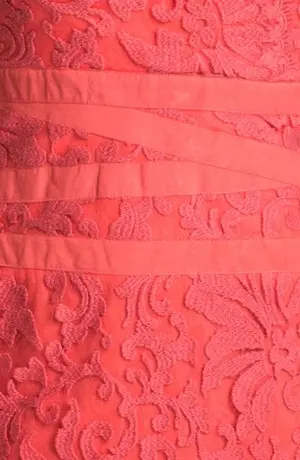 Tadashi Shoji Lace & Tulle Sheath Dress