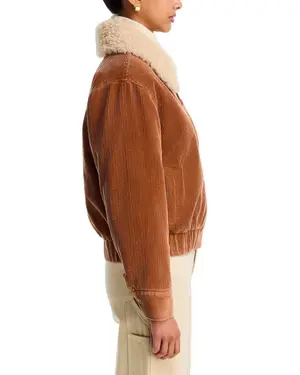 Xirena Bradley Sherpa Collar Cotton Corduroy Jacket - Camel