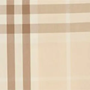 Burberry Cotton Check Shirt