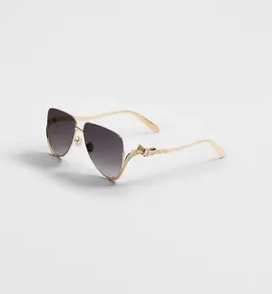 Dior Aviator Sunglasses