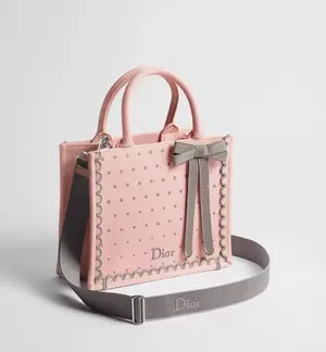 Dior Book Tote Small With Strap