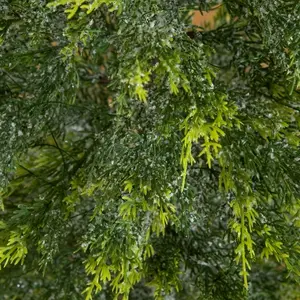 NEARLY NATURAL 5' Pre Lit Artificial Snowed Cypress Christmas Tree
