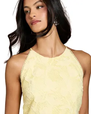 Coast Petite Halterneck Lace Midi Dress - Butter