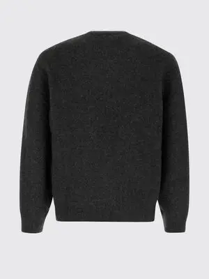 Carhartt Work In Progress Crewneck Sweatshirt - Black