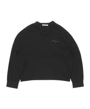 Acne Studios Camel Hair V-neck Sweater